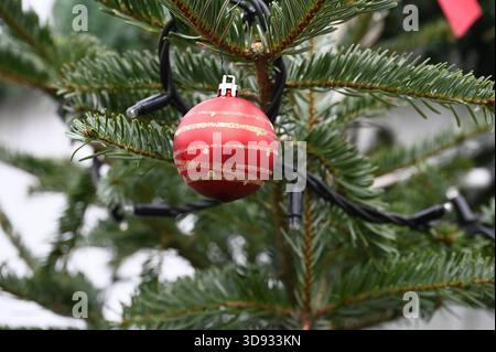 Tannenbaum Ast mit Weihnachtskugel Weihnachtsschuck, Christbaumkugel ...