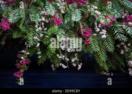 Colorful artificial plastic flowers background Stock Photo - Alamy