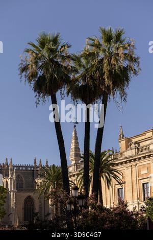 Palm tree framed view of historic downtown Colton, California, USA ...
