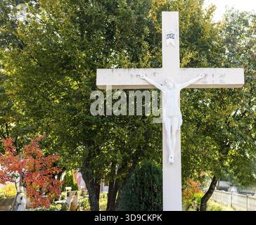 A big tree is sick and dead Stock Photo - Alamy