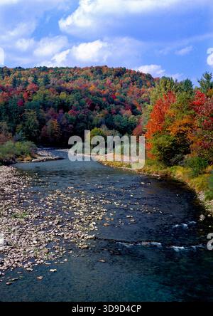 Autumn in the Catskill Forest New York State Lower Hudson River Valley ...