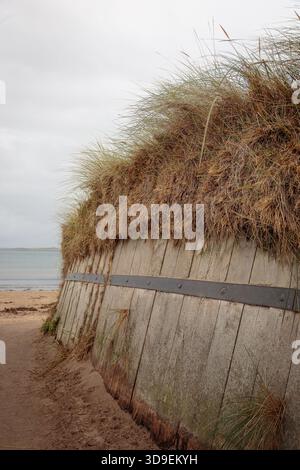 Beach Textures at Beadnell Bay, Northumberland November 2025 Stock ...
