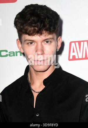 Adult Film Actor Drake Von attends the 2026 AVN Nominations Party held ...