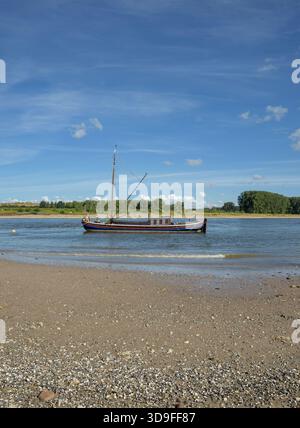 traditional eel fishing boat called Aalschokker,Rhine River,Monheim am ...