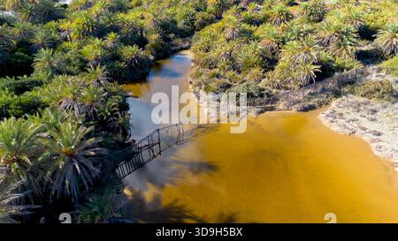 A serene oasis with palm trees reflected in a calm river under a bright ...