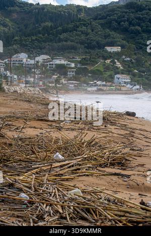 A vertical shot of a beach and green mountains seen through tree leaves ...