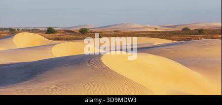 Sand dunes in northern Brazil at sunset Stock Photo - Alamy