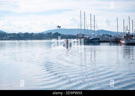 Fischereihafen von Nea Artaki am 5. Januar 2026 bei Nacht. GREECE ...