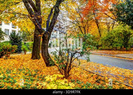 Autumn trees line a quiet curved pathway at a public park in Munich ...