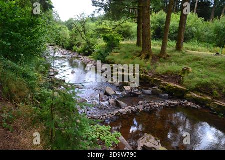 Taf Fechan Nature Reserve River Walk, Circular trail Stock Photo - Alamy