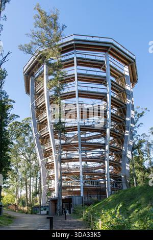 Avondale, Ireland-September 25, 2025; Viewing Tower of the Treetop Walk ...