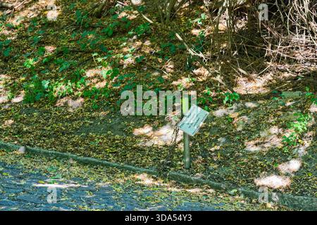 Leaning Wooden Post with a Sign that Reads "The Jewel, Farm Stock Photo ...