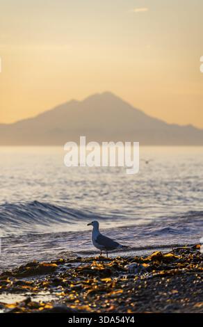 Sunset @ Midnight Across Cook Inlet Anchorage AK SC Summer Stock Photo ...