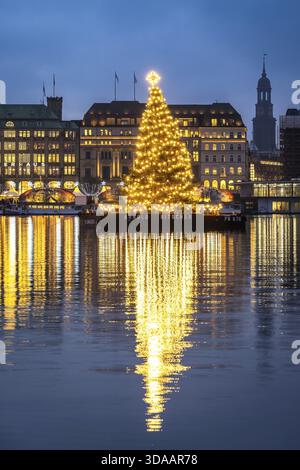 tree reflection in Hamburg, december 2016 | usage worldwide Stock Photo ...