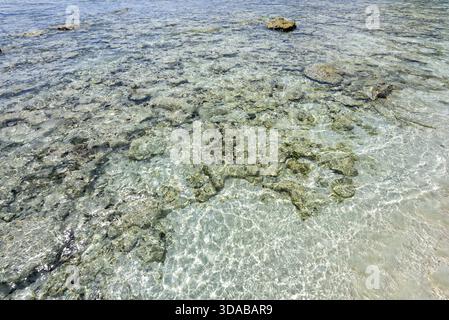 Shore coral reefs Stock Photo - Alamy