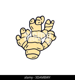 ginger root icon doodle illustration Stock Vector Image & Art - Alamy