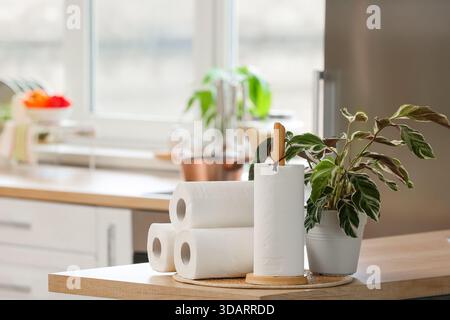 Rolls of paper towels with plant on table in kitchen Stock Photo - Alamy