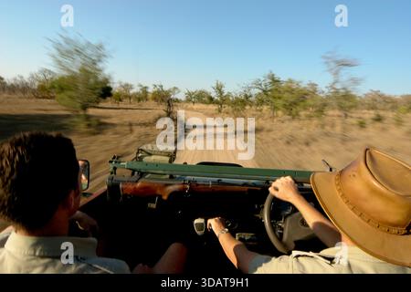 Two guides in South Africa driving through the bush Stock Photo - Alamy