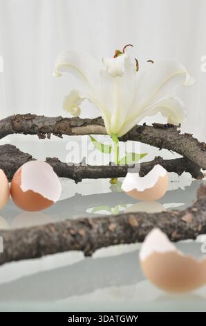 Easter decoration tree bark and egg shells. Exempt. Lower Bavaria ...