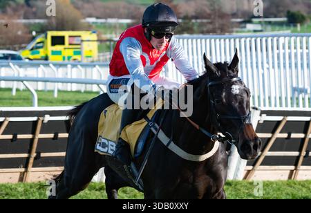 Cheltenham, UK, Saturday 13th December 2025; Minella Study and jockey ...