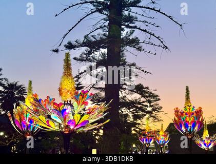 Christmas decorations Moodjar sentinels native Australian Christmas ...