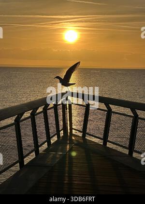 The sun rises over the pier at the Baltic Sea in Timmendorfer Strand ...