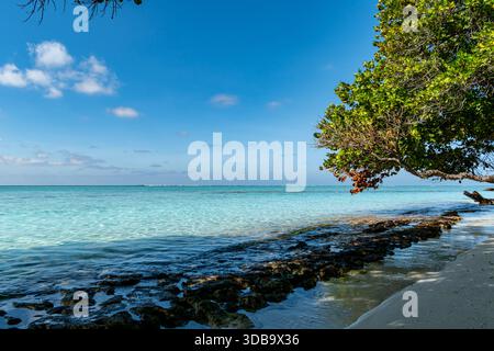 Tropical Beach Paradise in Mathiveri, Maldives Stock Photo - Alamy