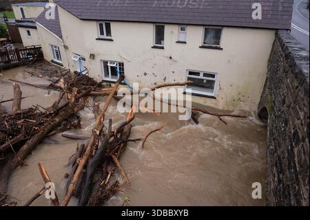 Large trees blocked by bridge across the Afon Cothi causing damage to ...