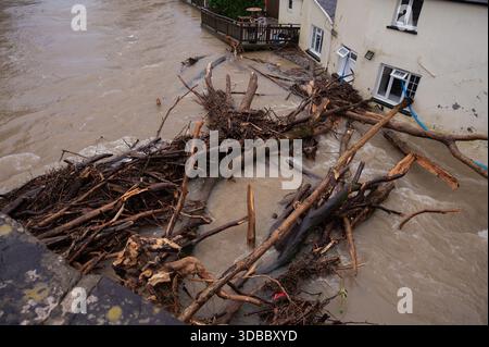 Large trees blocked by bridge across the Afon Cothi causing damage to ...