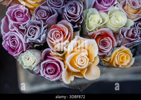 Close up view of multicolored roses Stock Photo - Alamy