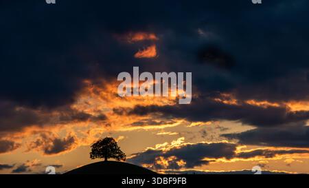 a beautiful scene of Swiss hills above Lake Zurich turned into a ...