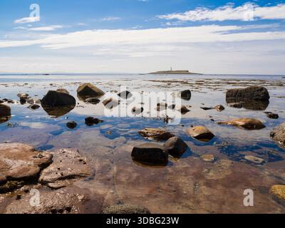 Peaceful coastal scene featuring a rocky path descending through pine ...