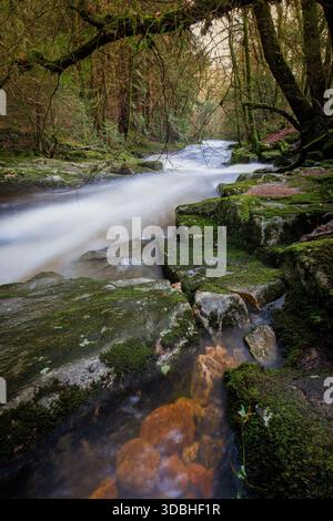 River Erme nr Ivybridge in Devon, Uk Stock Photo - Alamy