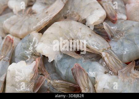Fresh vannamei shrimp prawns seafood in vacuum pack isolated on white ...