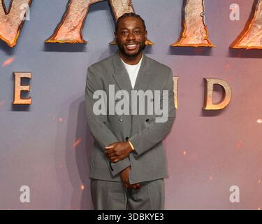 Asher Glean attends the UK Premiere of 'Avatar: Fire and Ash' held at ...