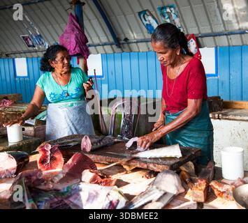 Fishermen work in the morning glow at Ailun Bay ecological aquaculture ...