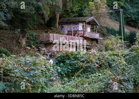 a wooden cabin surrounded by greenery in the daylight Stock Photo - Alamy