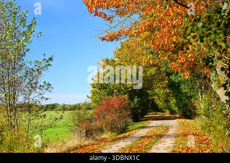 Marschbahndamm and Elbe cycle path in the Kirchwerder Wiesen nature ...