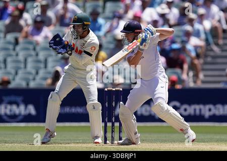 England's Harry Brook bats as Australia's Alex Carey watches during ...