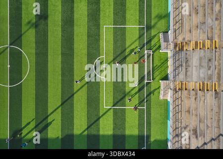 Striped professional soccer stadium turf photographed , high resolution ...