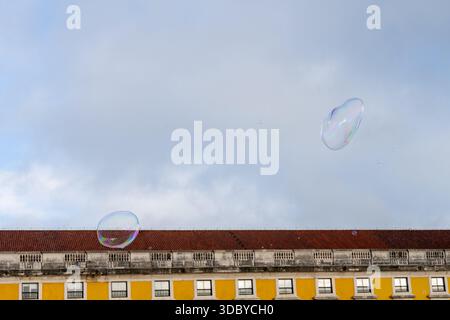 Minimalist Soap Bubble Floating Above Calm Lake Water Symbolizing ...
