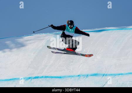 Javier Lliso of Spain competes during the men's freestyle skiing big ...