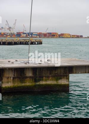 CentrePort Wellington in Wellington, New Zealand Stock Photo - Alamy