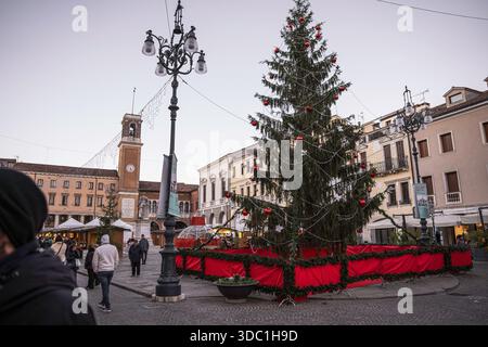 Rovigo, italy 18 december 2025: christmas tree with red baubles and ...
