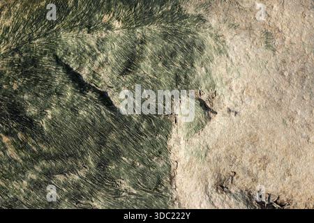 Aerial view of rugged, textured brown landscape with scattered green ...