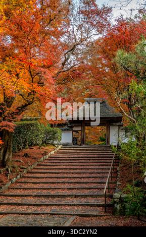 Henro (pilgrim) in Anrakuji temple, Shikoku, Japan 2012. Occidental ...