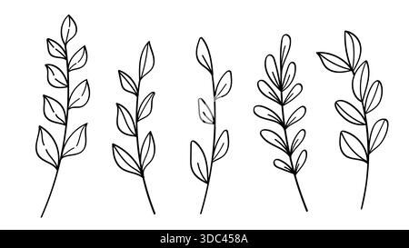 Flower boho aesthetic elements collection vector illustration Stock ...