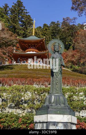 An image of a temple surrounded with trees in Angkor Wat, Cambodia ...