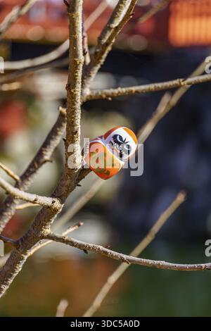 lonely thin branch Stock Photo - Alamy