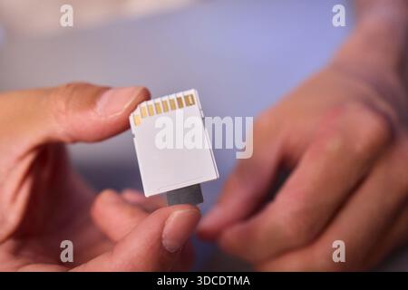 Comparison of SD and MicroSD Cards in Different Hands and Their Various ...